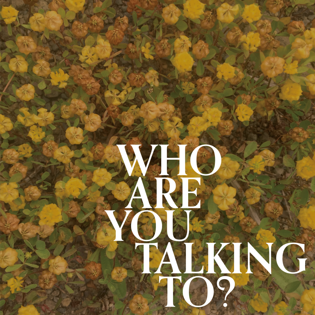Too Many Flowers | Corey Donenfeld